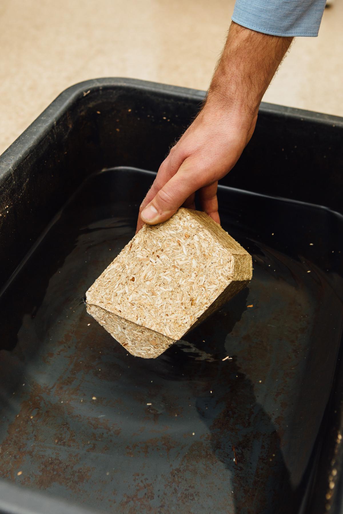 BBlock® – Baltic Block